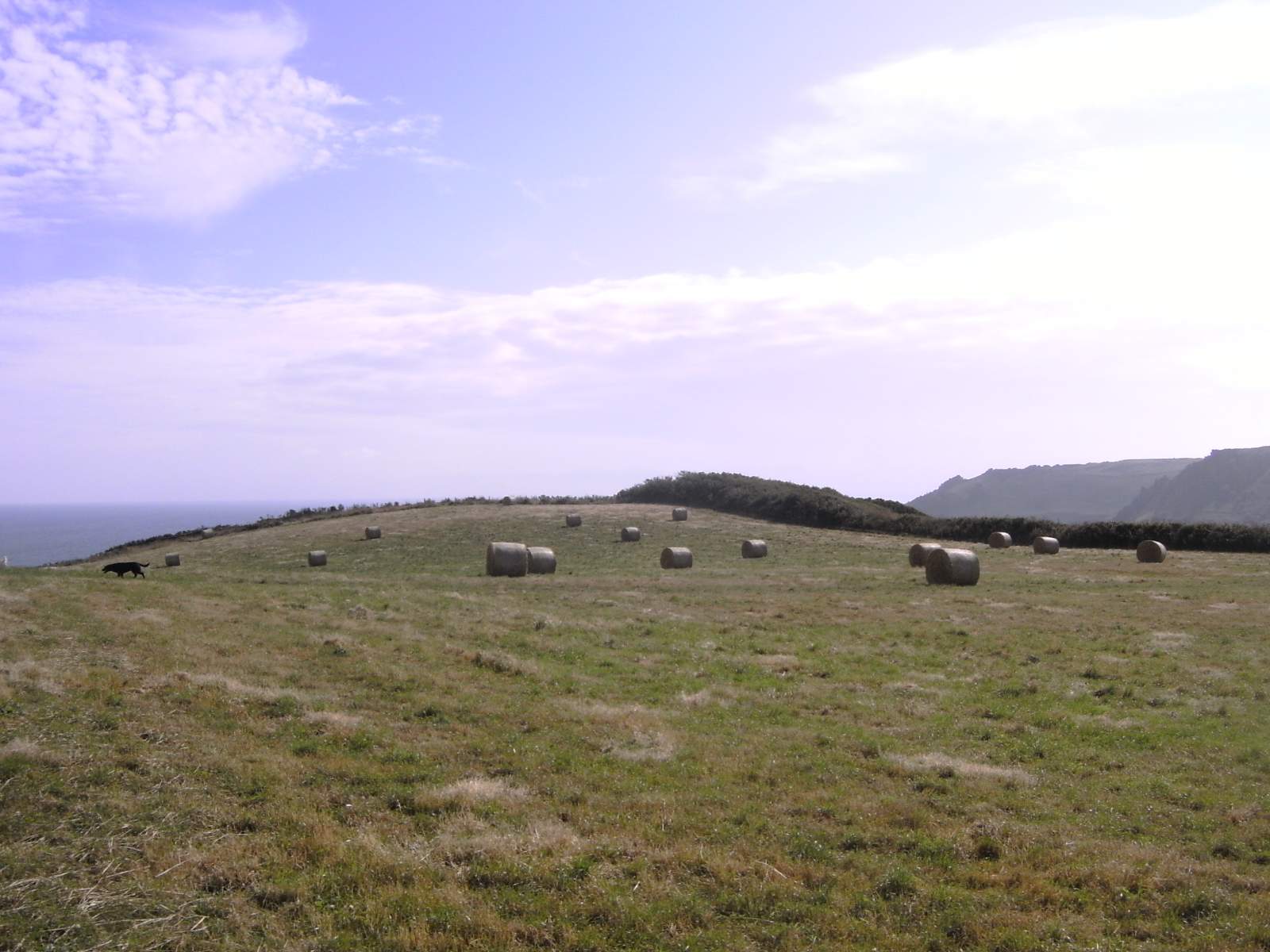 SFI, rural planning, designs and drawings